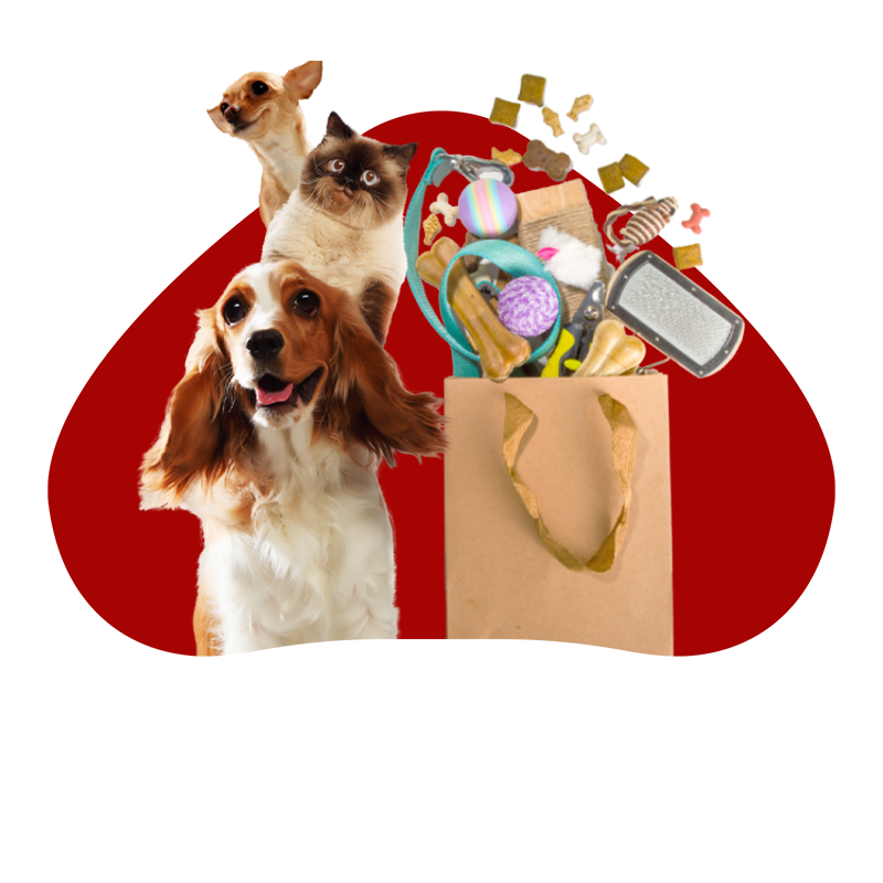 Accessories – Pets Land