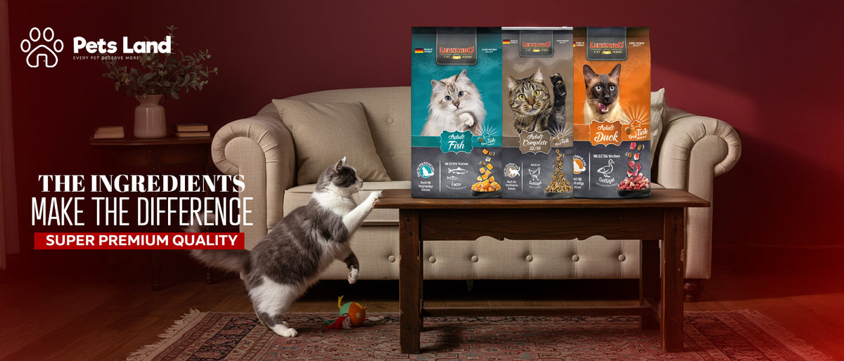 Pets land – Pets Land