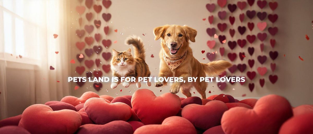 Pets land – Pets Land