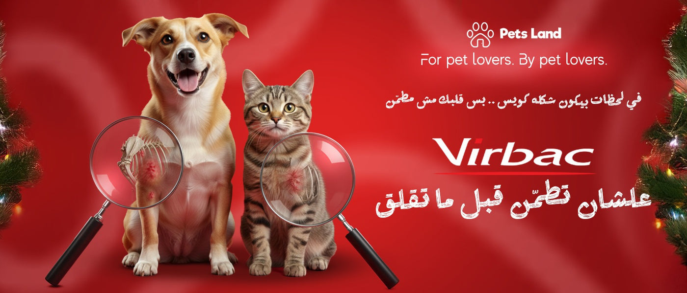 Pets land – Pets Land