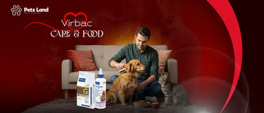 Pets land – Pets Land